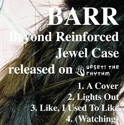 BEYOND REINFORCED JEWEL CASE/BARR/バー｜ROCK / POPS / INDIE｜ディスクユニオン･オンライン ...