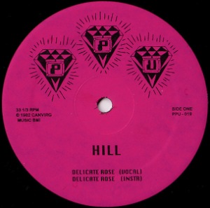 DELICATE ROSE / WILD DREAMS (12")/HILL / ROSHELL ANDERSON｜SOUL/BLUES/GOSPEL｜ディスクユニオン･オンラインショップ ...