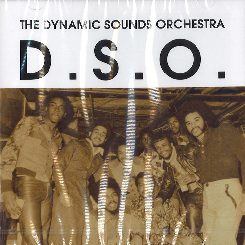 D.S.O/DYNAMIC SOUNDS ORCHESTRA/ダイナミック・サウンズ・オーケストラ｜SOUL/BLUES/GOSPEL ...