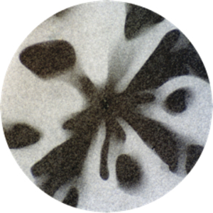 FICTION/ANDERS HELLBERG /BLEAK(Delsin/DRH/Naura)によるリミックスを2ver.収録｜CLUB/DANCE｜ディスクユニオン･オンラインショップ ...