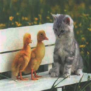 DISCO DUCK/UNKNOWN/L.I.E.S.関連人脈(?)によるミステリアス・エディット / CAROLYNE BERNIERネタ ...