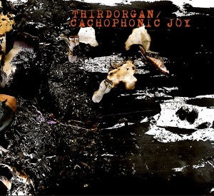 Cacophonic Joy, Thirdorgan -Sprit/THIRDORGAN｜日本のロック｜ディスクユニオン･オンラインショップ ...