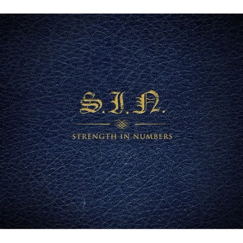 STRENGTH IN NUMBERS/I AM MANY & LOGIK PROOF｜HIPHOP/R&B｜ディスクユニオン･オンライン ...