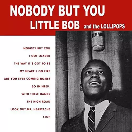 NOBODY BUT YOU (LP)/LIL BOB & THE LOLLIPOPS/ルイジアナ・スワンプ・ソウル/ R&B の名曲の数々!!｜SOUL/BLUES/GOSPEL｜ディスク ...