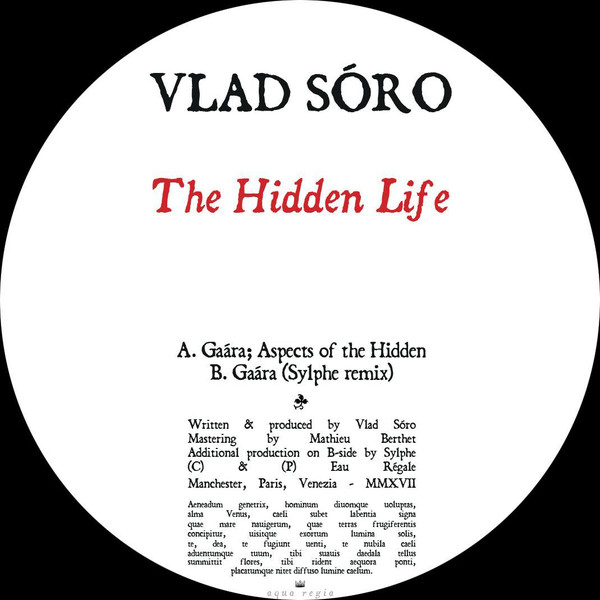 HIDDEN LIFE/VLAD SORO｜CLUB/DANCE｜ディスクユニオン･オンラインショップ｜diskunion.net