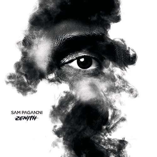 ZENITH LP (GATEFOLD CD)/SAM PAGANINI｜CLUB/DANCE｜ディスクユニオン･オンラインショップ ...
