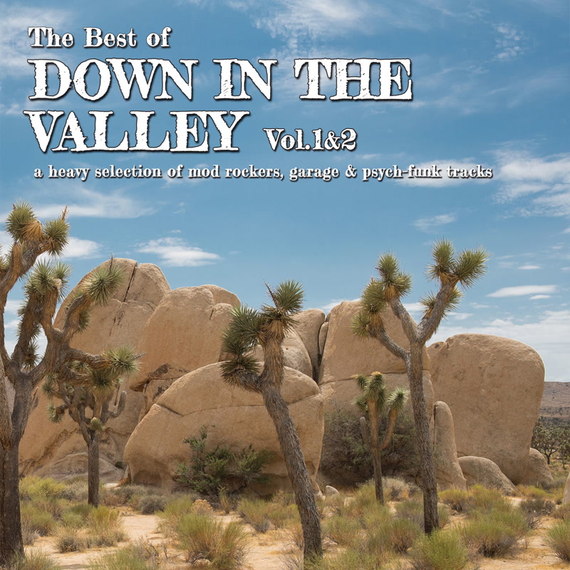 DOWN IN THE VALLEY VOL.1&2(CD)/V.A. (DOWN IN THE VALLEY)｜SOUL/BLUES ...