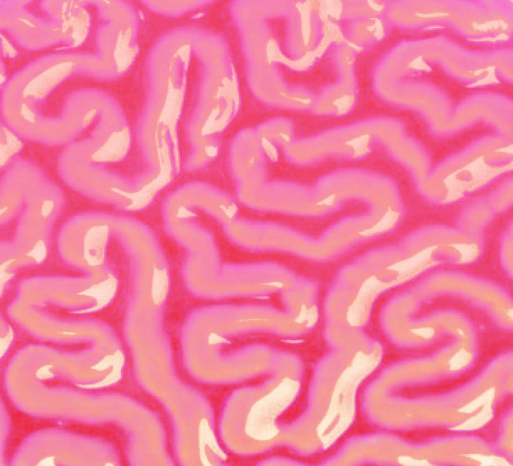 PINK GUTS(CDR)/ELECTRIC MACHINE GUN TITS｜日本のロック｜ディスクユニオン･オンラインショップ ...