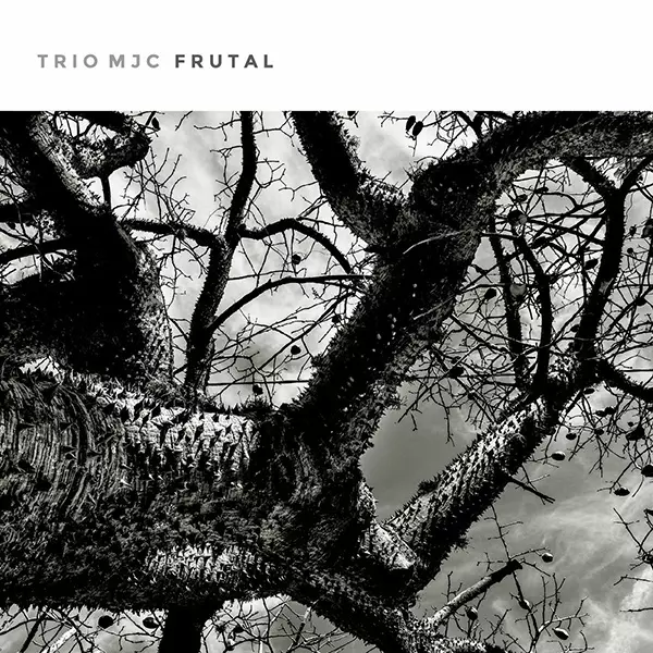 FRUTAL/TRIO MJC｜LATIN/BRAZIL/WORLD｜ディスクユニオン･オンラインショップ｜diskunion.net