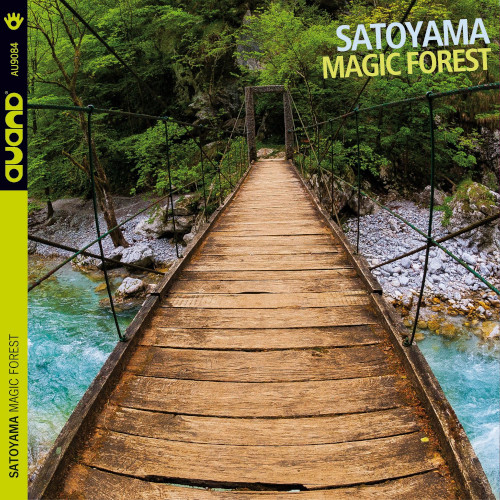 Satoyama/MAGIC FOREST｜JAZZ｜ディスクユニオン･オンラインショップ｜diskunion.net