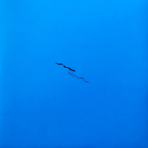 ANGHILA/VEZIM/ロッテルダム・エレクトロ新鋭｜CLUB/DANCE｜ディスクユニオン･オンラインショップ｜diskunion.net