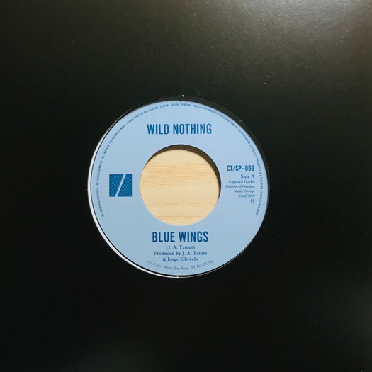 BLUE WINGS/WILD NOTHING/ワイルド・ナッシング｜ROCK / POPS / INDIE｜ディスクユニオン･オンライン ...