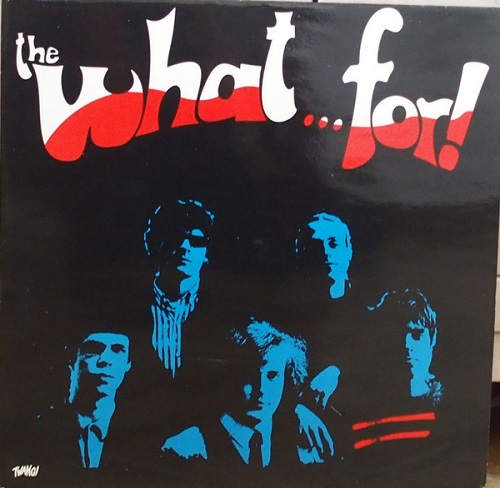 THE WHAT...FOR!/THE WHAT...FOR!｜PUNK｜ディスクユニオン･オンラインショップ｜diskunion.net