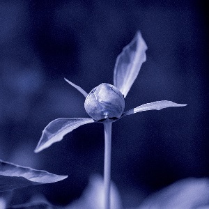 HUI GUI/UNJIN｜CLUB/DANCE｜ディスクユニオン･オンラインショップ｜diskunion.net