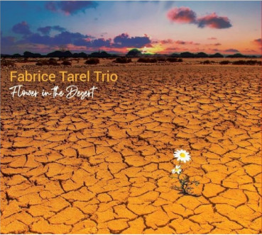 FLOWER IN THE DESERT/FABRICE TAREL｜JAZZ｜ディスクユニオン･オンラインショップ｜diskunion.net