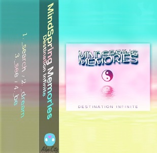 DESTINATION INFINITE/MINDSPRING MEMORIES｜CLUB/DANCE｜ディスクユニオン･オンラインショップ ...