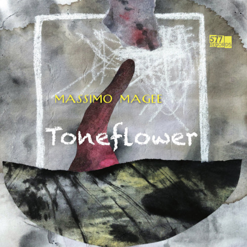 Toneflower (LP)/MASSIMO MAGEE/マッシモ・マギー/フリー系サックス奏者ソロ2022年作品｜JAZZ｜ディスクユニオン･オンラインショップ｜diskunion.net