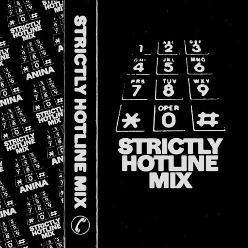 STRICTLY HOTLINE MIX/ANINA｜CLUB/DANCE｜ディスクユニオン･オンラインショップ｜diskunion.net