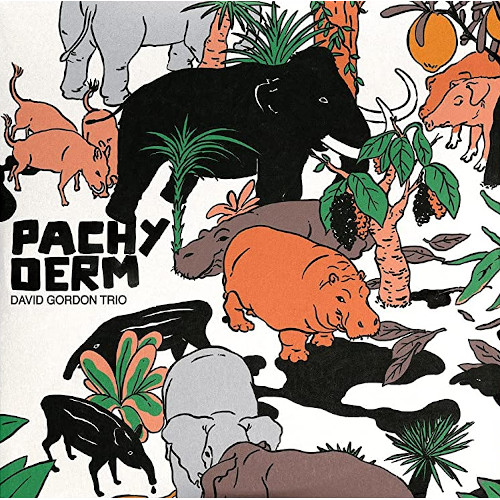 Pachyderm/DAVID GORDON/デヴィッド・ゴードン/新メンバーによる至高のピアノ・トリオ!｜JAZZ｜ディスクユニオン ...