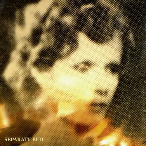 SEPARATE BED (VINYL)/SEPARATE BED/輸入LP★ノルウェー発インディー/スローコアバンドのメンバーによるソロ ...