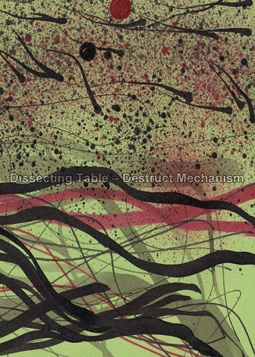 DESTRUCT MECHANISM (CD-R)/DISSECTING TABLE/ディセクティング・テーブル｜NOISE / AVANT ...