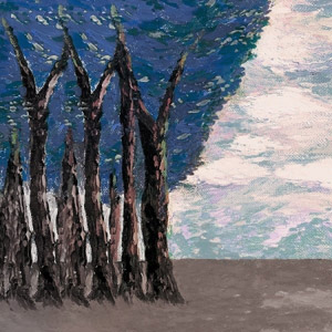 FOREST/DARIN｜LATIN / BRAZIL｜ディスクユニオン･オンラインショップ｜diskunion.net