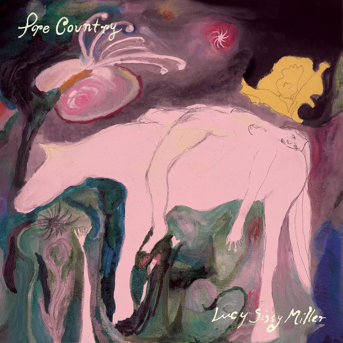 予約♪ LUCY SISSY MILLER / PRE COUNTRY 『ツイン・ピークス』、『パリ、テキサス』からの影響とアメリカーナへの愛 ...