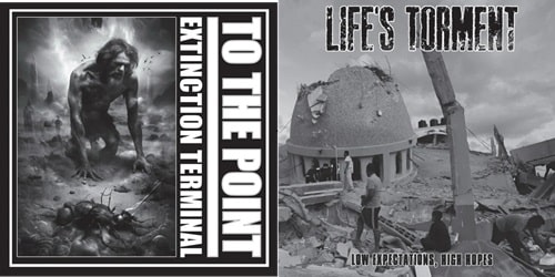 SPLIT (7")/TO THE POINT : LIFE'S TORMENT /USファストコア/パワーバイオレンスの2組による24年作 ...