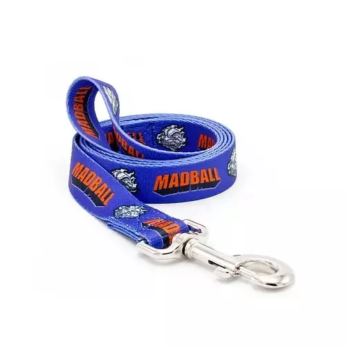 1" LEASH/MADBALL/マッドボール｜PUNK｜ディスクユニオン･オンラインショップ｜diskunion.net