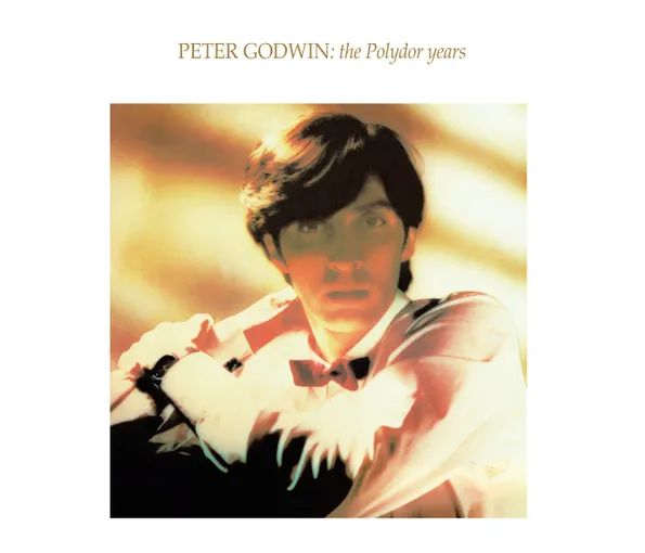 THE POLYDOR YEARS 2CD EDITION/PETER GODWIN/1980年代POLYDOR在籍時の2作品をまとめた決定版 ...