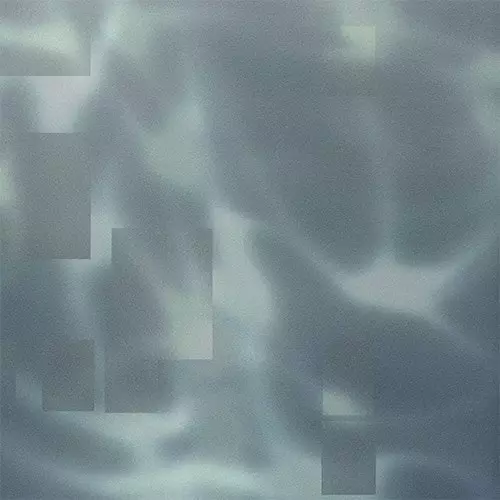 SHYNESS (LP)/CHANTSSSS/シドニー拠点のアンビエント・レーベルから伊幻想アンビエントポップ新星がデビュー｜CLUB/DANCE｜ディスクユニオン･オンラインショップ ...