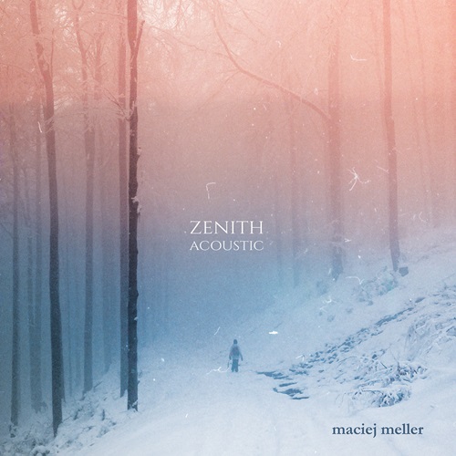 ZENITH ACOUSTIC/MACIEJ MELLER/元QUIDAM/現RIVERSIDEのギタリスト、'20年デビューアルバム ...