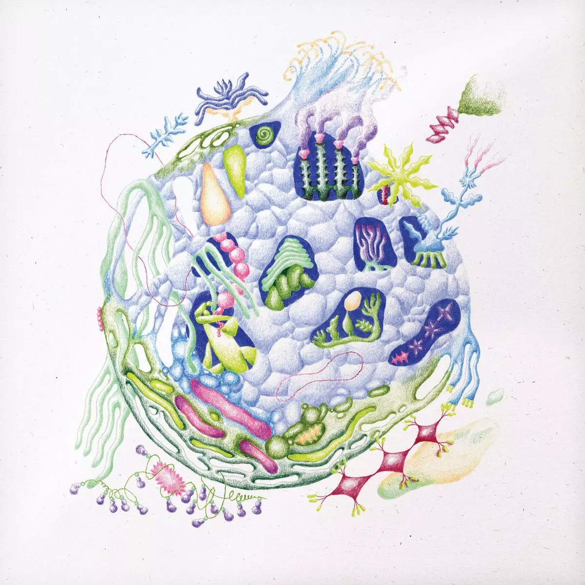 BINNENIN [LP]/DAVID EDREN/日本、中国の伝統音楽、楽器からの影響を反映させた神秘的オーガニック・エレクトロニック ...