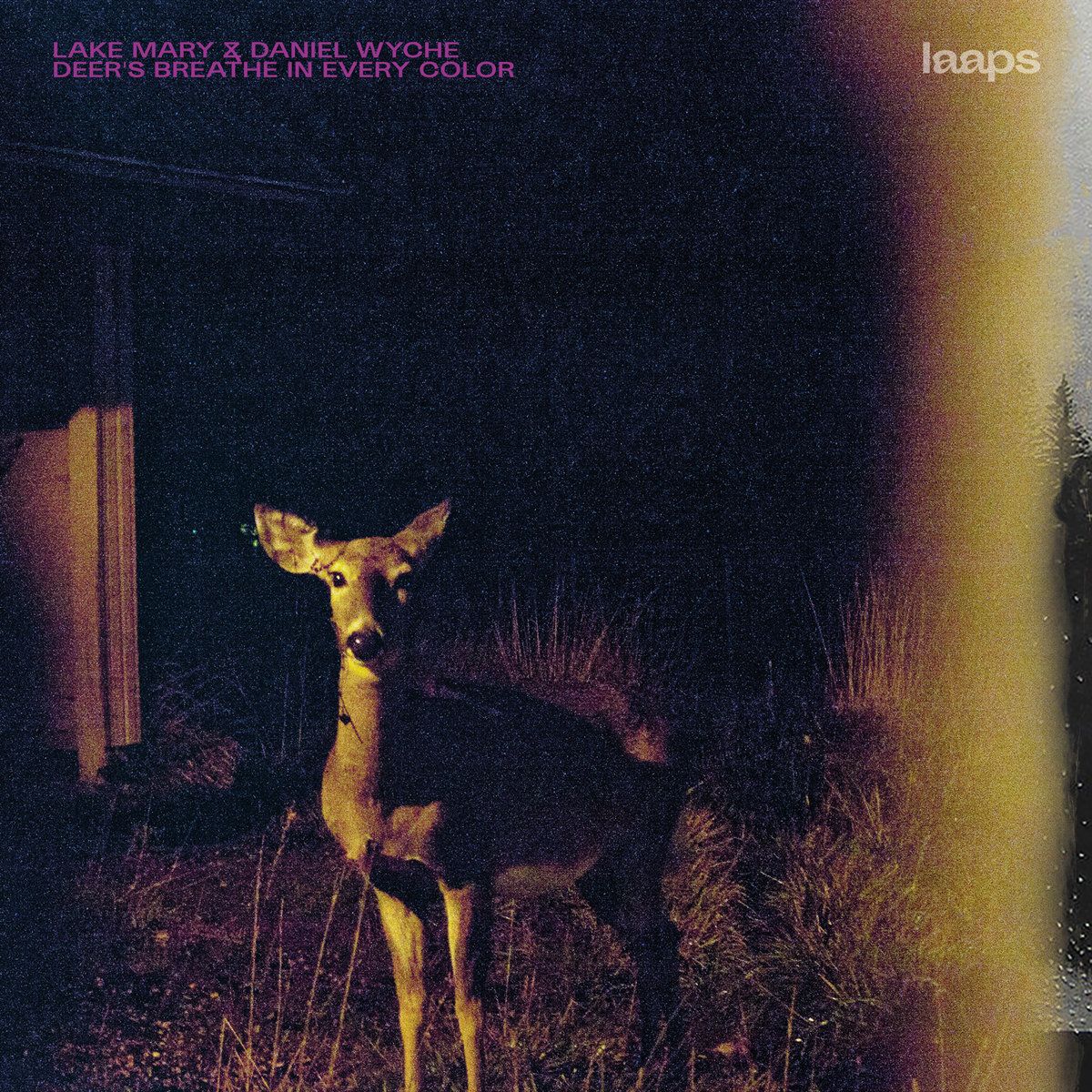 DEER'S BREATHE IN EVERY COLOR [LP]/LAKE MARY & DANIEL WYCHE/[輸入LP] 冬の情景 ...