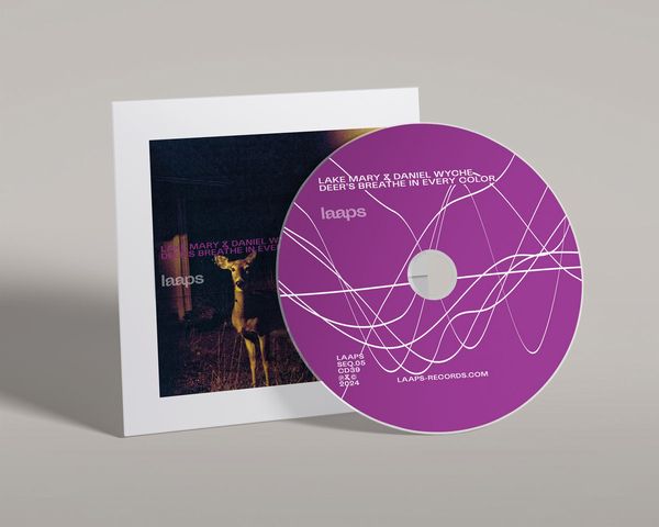 DEER'S BREATHE IN EVERY COLOR [CD]/LAKE MARY & DANIEL WYCHE/[輸入CD] 冬の情景 ...