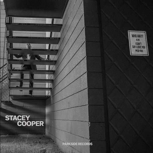 WHO AM I / CAN'T SAY I LOVE YOU (COLOR VINYL 7")/STACEY COOPER/良質なクラシック ...