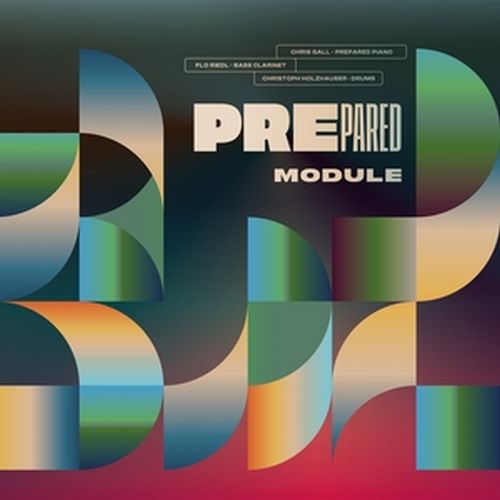 Module(LP)/PREPARED/ニック・ベルチュ・ローニンのようなサウンド｜JAZZ｜ディスクユニオン･オンラインショップ ...