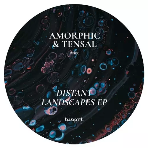 DISTANT LANDSCAPES EP/AMORPHIC & TENSAL/スコットランドの雄VINCE WATSONが最新変名義で老舗 ...