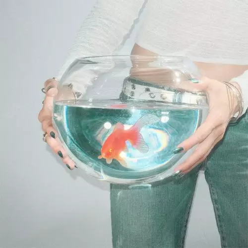 FROG SONG (LP)/FISH NARC/K RECORDSから、エヴァーグリーンなギターとMTVアンプラグド風のミニマルなアレンジが ...