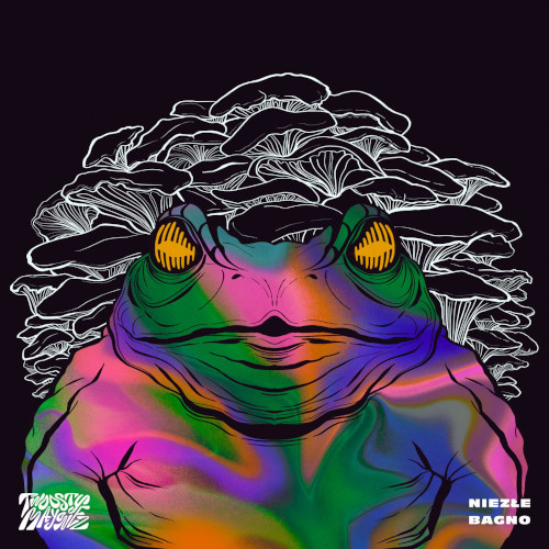 Niez ł e Bagno(LP)/TWOOSTY MAYONEZ/2025年作、ポーランドのポストジャズ作品。｜JAZZ｜ディスクユニオン･オンラインショップ｜diskunion.net