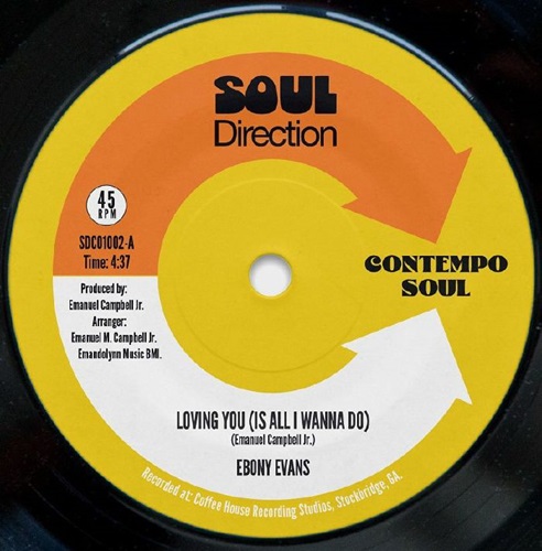 LOVING YOU(IS ALL I WANNA DO) / STEP UP (7")/EBONY EVANS / LEWZARIUS/初7 ...