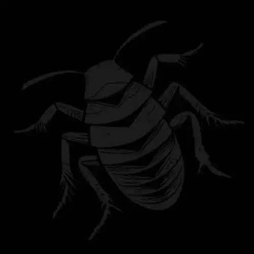 ROACH SQUAD(LP)/ROACH SQUAD/ついにLEATHERFACEのフランキー・スタッブスがバンドとして再始動!｜PUNK ...