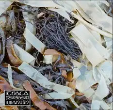 ITHACA [LP]/LULLAHUSH/Future Classicが誇るアイルンドのエレクトロニック・アーティスト、LULLAHUSHの ...