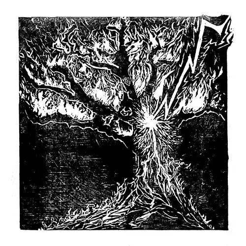 BELLY / BURNED ALIVE/BRUCE/視覚的に刺激的かつ高品質、環境にも配慮したPVCヴァイナル/DIYリノプリント・スリーヴ ...