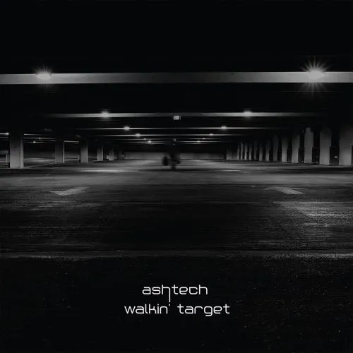 WALKIN' TARGET/ASHTEC/2007年にカルト・レーベルINTERCHILLからリリースされたユニークなダウンテンポ/ダブ ...