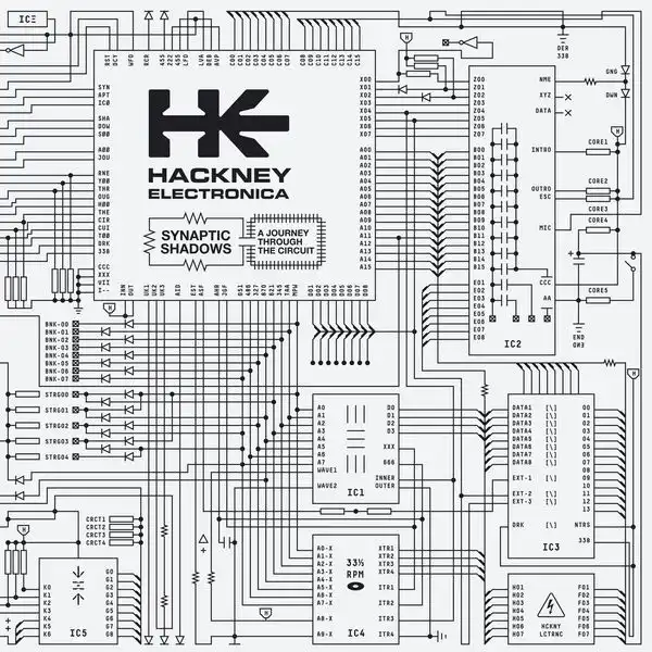 SYNAPTIC SHADOWS/HACKNEY ELECTRONICA/80'S D.I.Y.エレクトロニクスを現代のダンスフロアに融合させたトリオ デビューEP｜NOISE / AVANT ...
