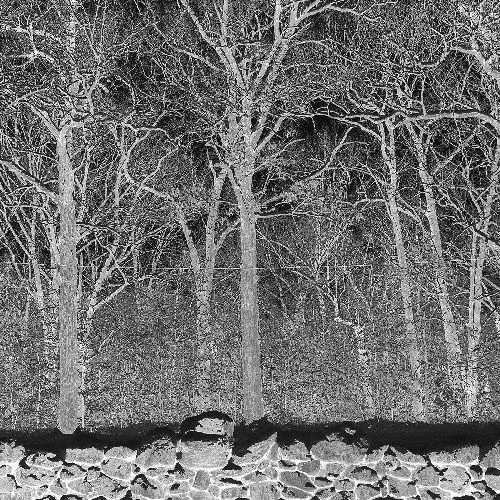 SUNSHINE AND BALANCE BEAMS (CD)/PILE (US INDIE)/パイル/輸入CD★ USインディ界きっての ...