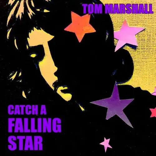 CATCH A FALLING STAR (CD)/TOM MARSHALL/トム・マーシャル/数々のグループで活躍したアーティスト、トム ...