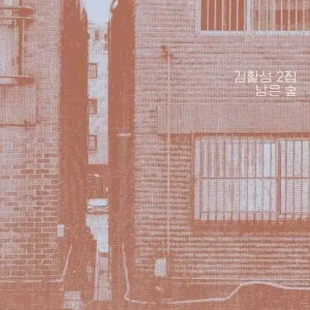 THE REMNANT FOREST/KIM HWAL SUNG/キム・ファルソン/自然と人間の関係をテーマにした幽玄ながら素朴な一作 ...