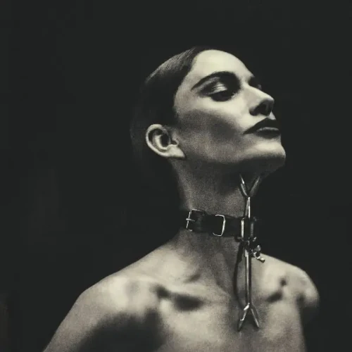 V/NIIA/ナイア/女性ジャズ・シンガー、ニイアの2025年新作｜JAZZ｜ディスクユニオン･オンラインショップ｜diskunion.net